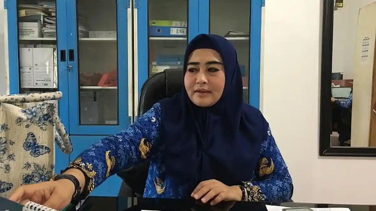 Dinkes Mamuju Catat 357 Kasus DBD Selama 2024 - Tribun-sulbar.com