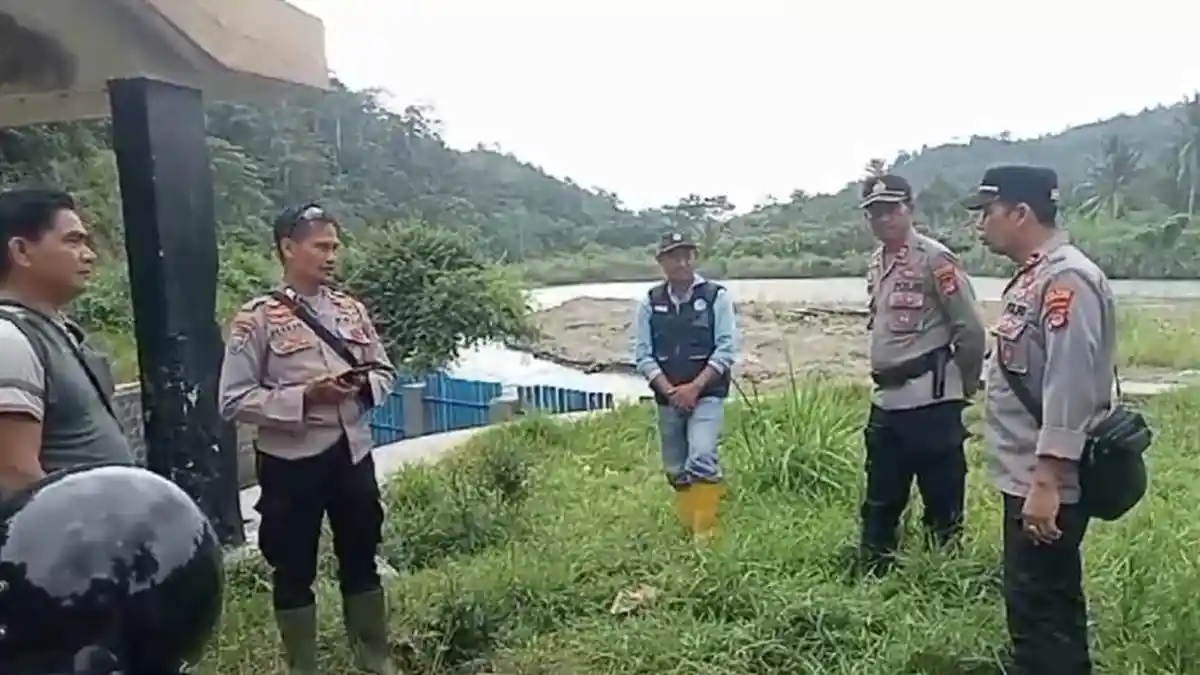 Tim Gabungan Pantau Pergerakan Gajah Liar di Semaka Tanggamus Lampung ...