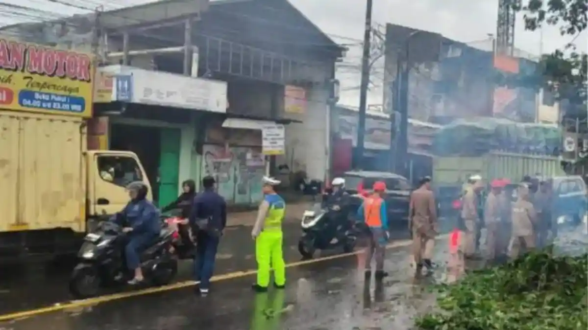 Ada Pohon Tumbang di Depan Pool TransJakarta Ciputat, Polisi Terjunkan ...