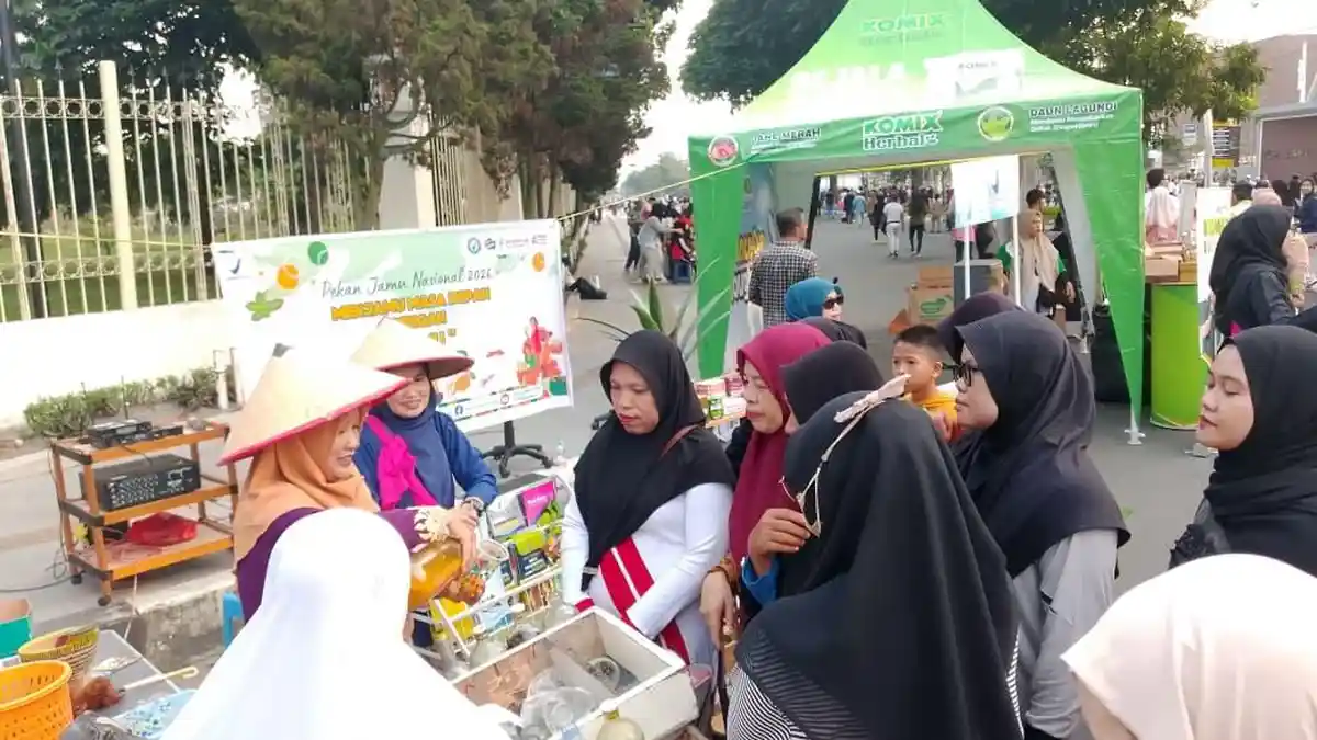 Jamu Tradisional Didorong Jadi Produk Unggulan, BBPOM Pekanbaru Gelar ...
