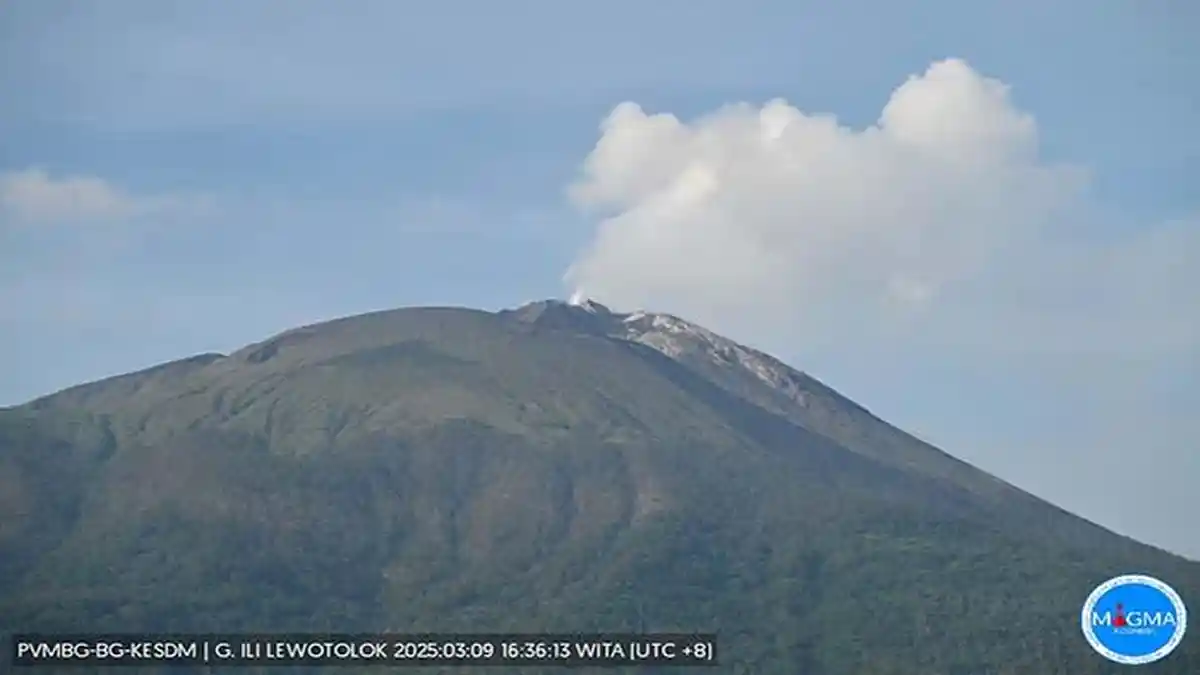 Profil dan Sejarah Letusan Gunung Api Lewotolok di Pulau Lembata NTT ...