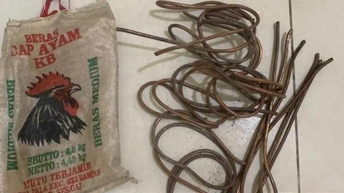Nekat Curi Kabel hingga PT PHR Rugi Rp 6 Juta, Pemuda di Rohul Riau ...