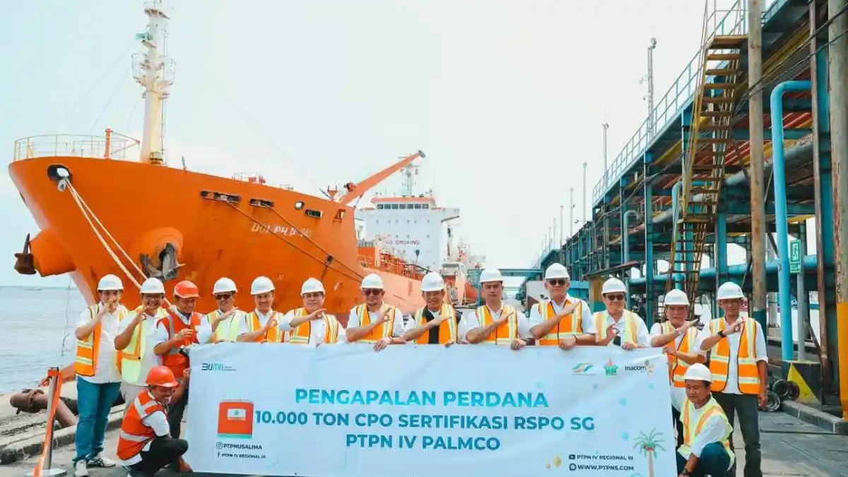 CPO Bersertifikasi RSPO Bawa PTPN IV PalmCo Raup Tambahan Penghasilan ...