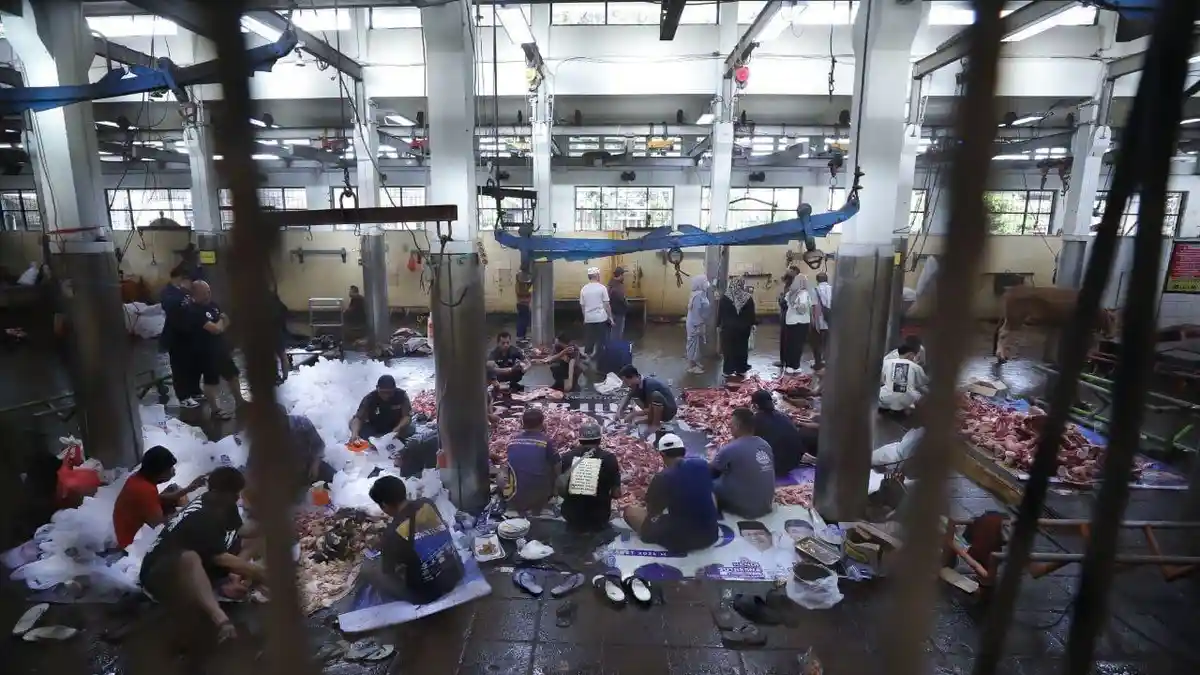 Cacing Hati Pada Daging Hewan Kurban Masih Ditemukan, Ini Langkah DKPP ...