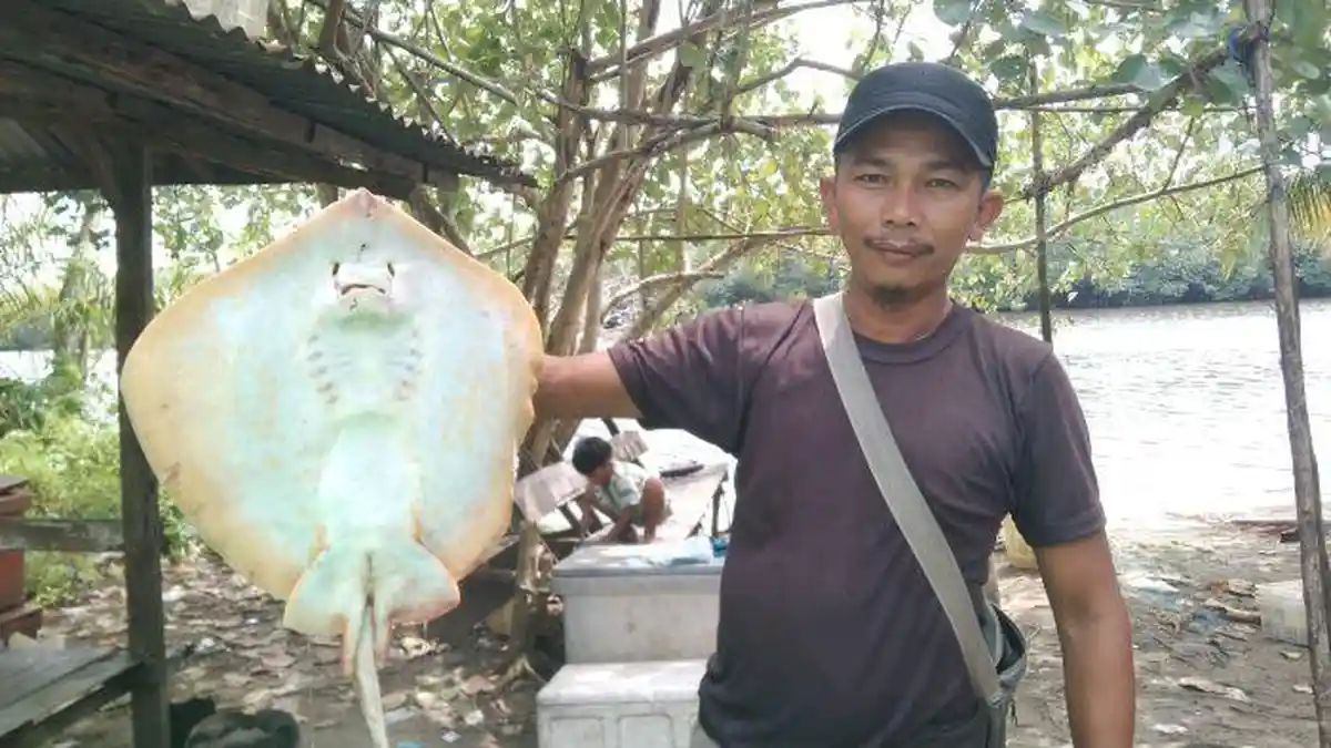 Pendapatan Nelayan Aceh Singkil Anjlok Pascabanjir, Harga Ikan Melonjak ...