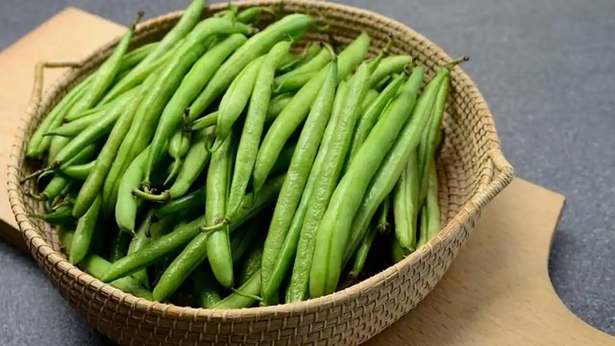 11 Manfaat, Kandungan dan Khasiat Buncis untuk Kesehatan, Ternyata Bisa ...