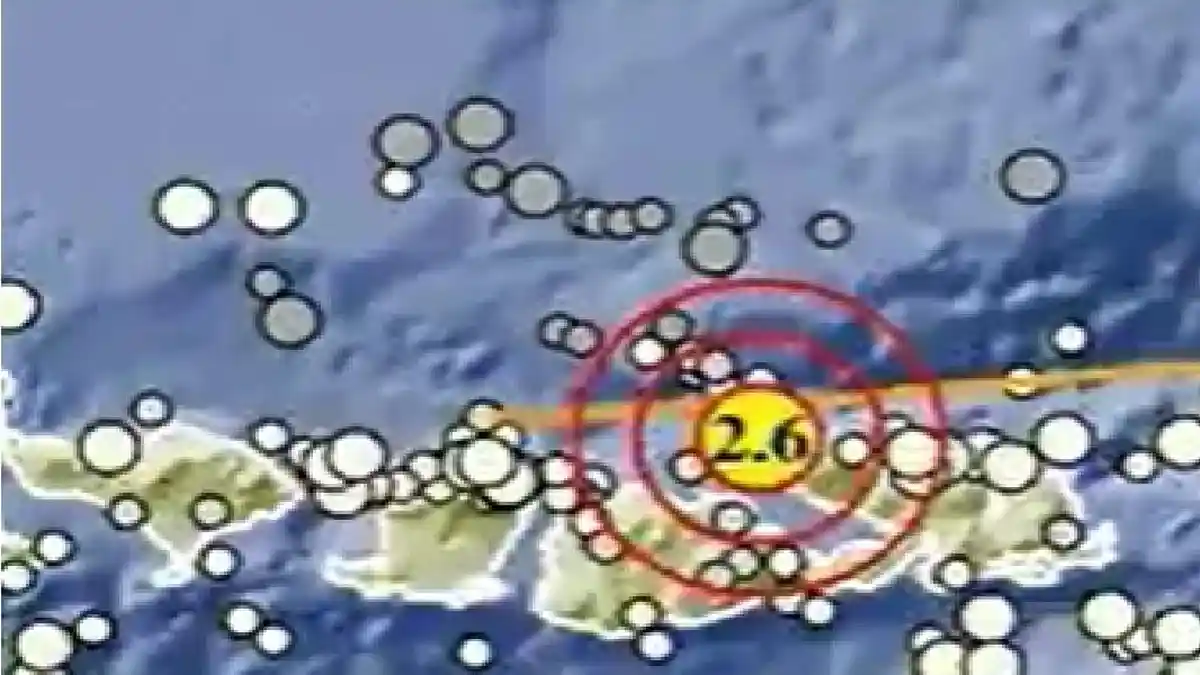 Gempa Bumi Guncang NTB Kamis 8 Mei 2025, Gempanya Baru Saja Terjadi ...